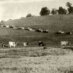 Mullendore III, E. C. - Voices of Oklahoma